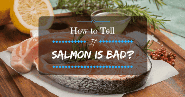How to Tell if Salmon is Bad? Something Fishy Comes This Way