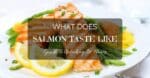 What Does Salmon Taste Like?