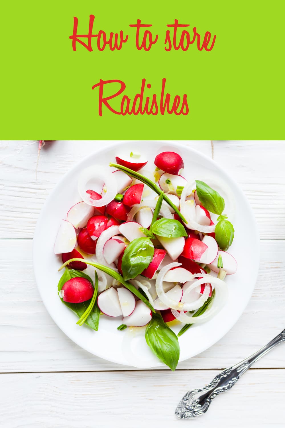 How to store radishes the quick and easy method