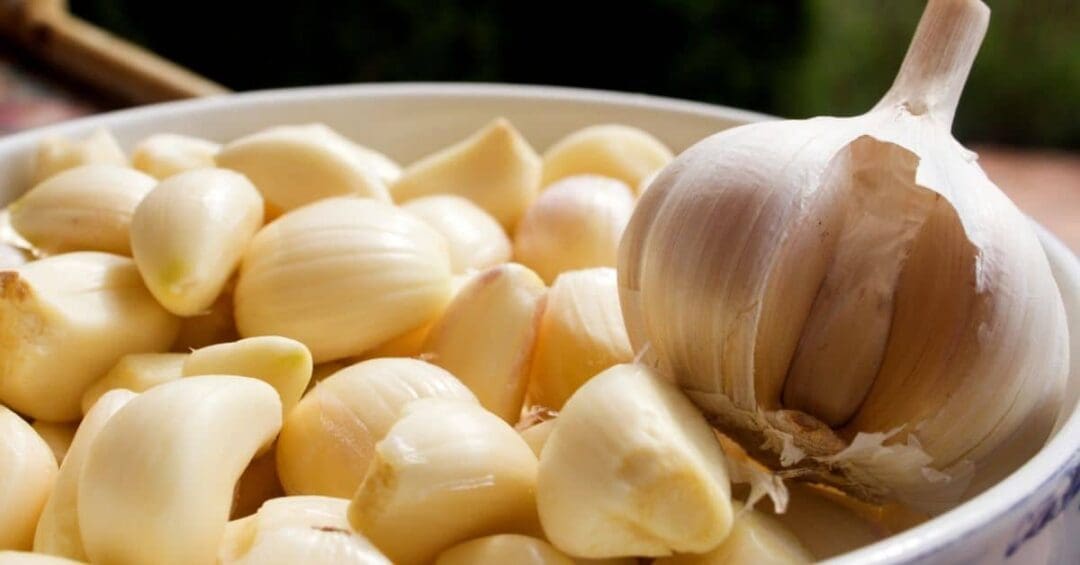 3 Tips: How do you know if garlic is bad