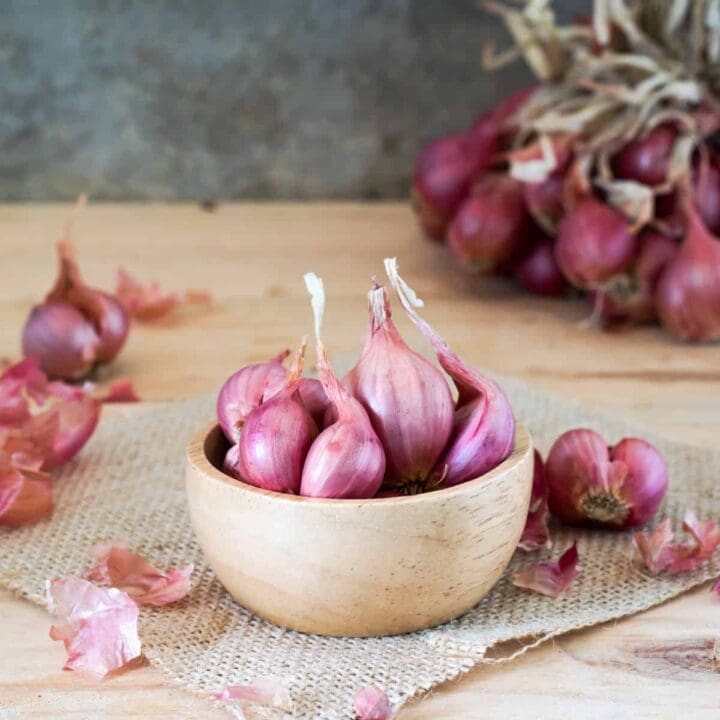 A Shallot Substitute: Two Options You Probably Have In Your Pantry