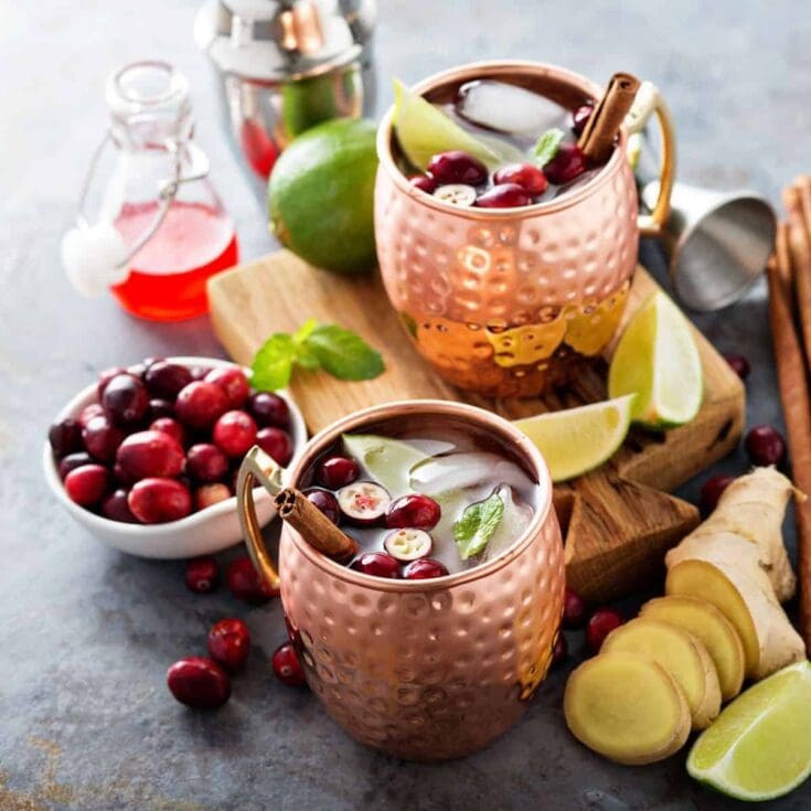 How to Make a Cranberry Moscow Mule – a Drink with a Kick AND a Twist!