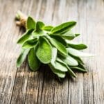 Five Sage Substitutes and How You Can Use Them
