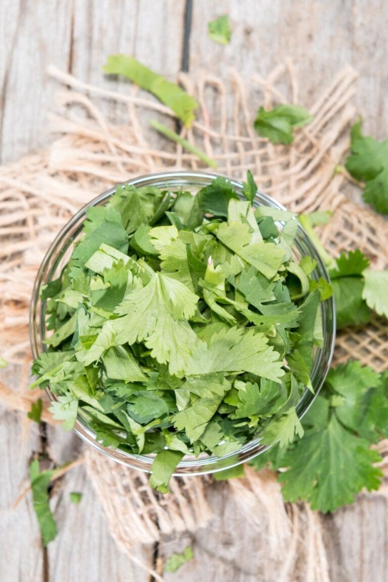 How to Store Cilantro in 4 Different Ways