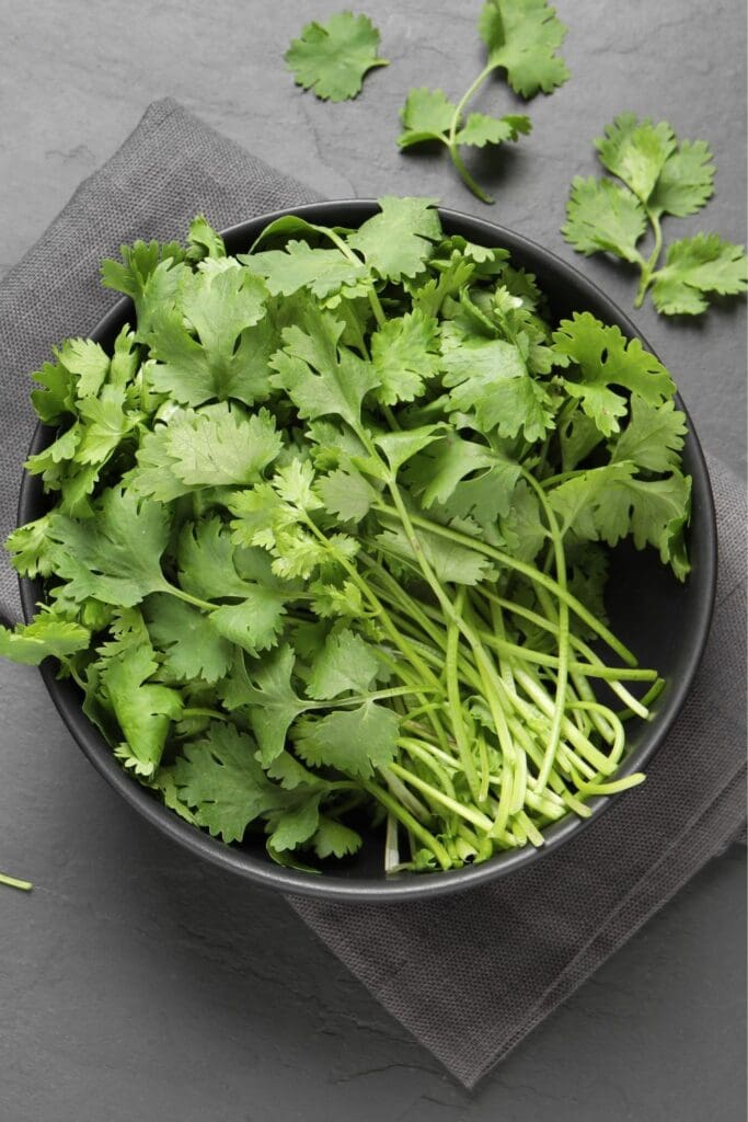 What Is Cilantro? Everything You Need to Know