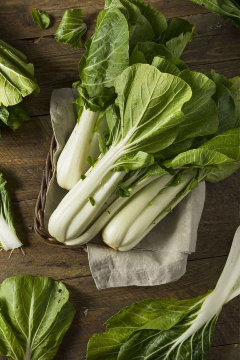 What Is Bok Choy and How Should You Store It?
