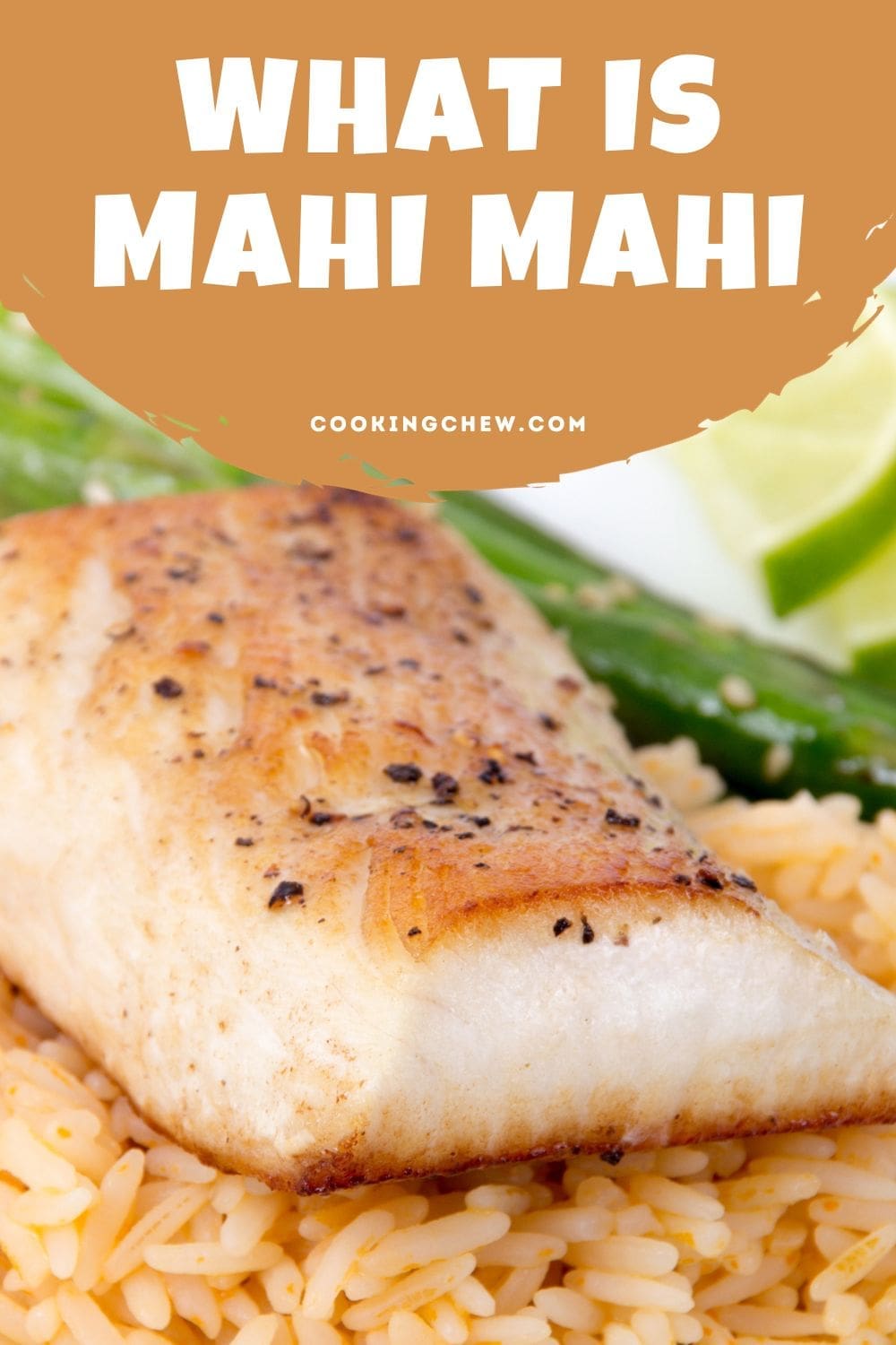 What Is Mahi Mahi?