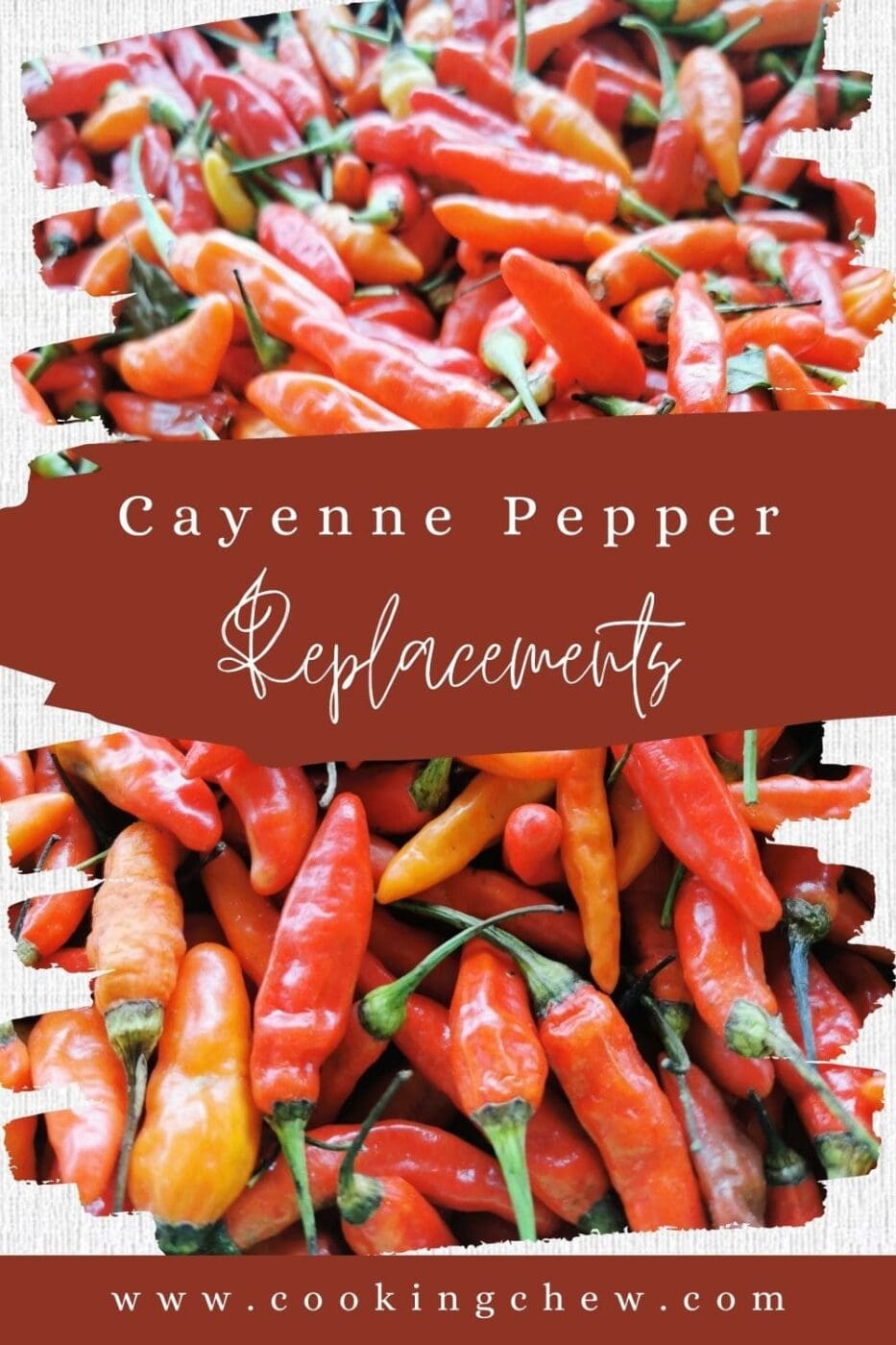Cayenne pepper substitute – 8 incredible alternatives to cayenne pepper