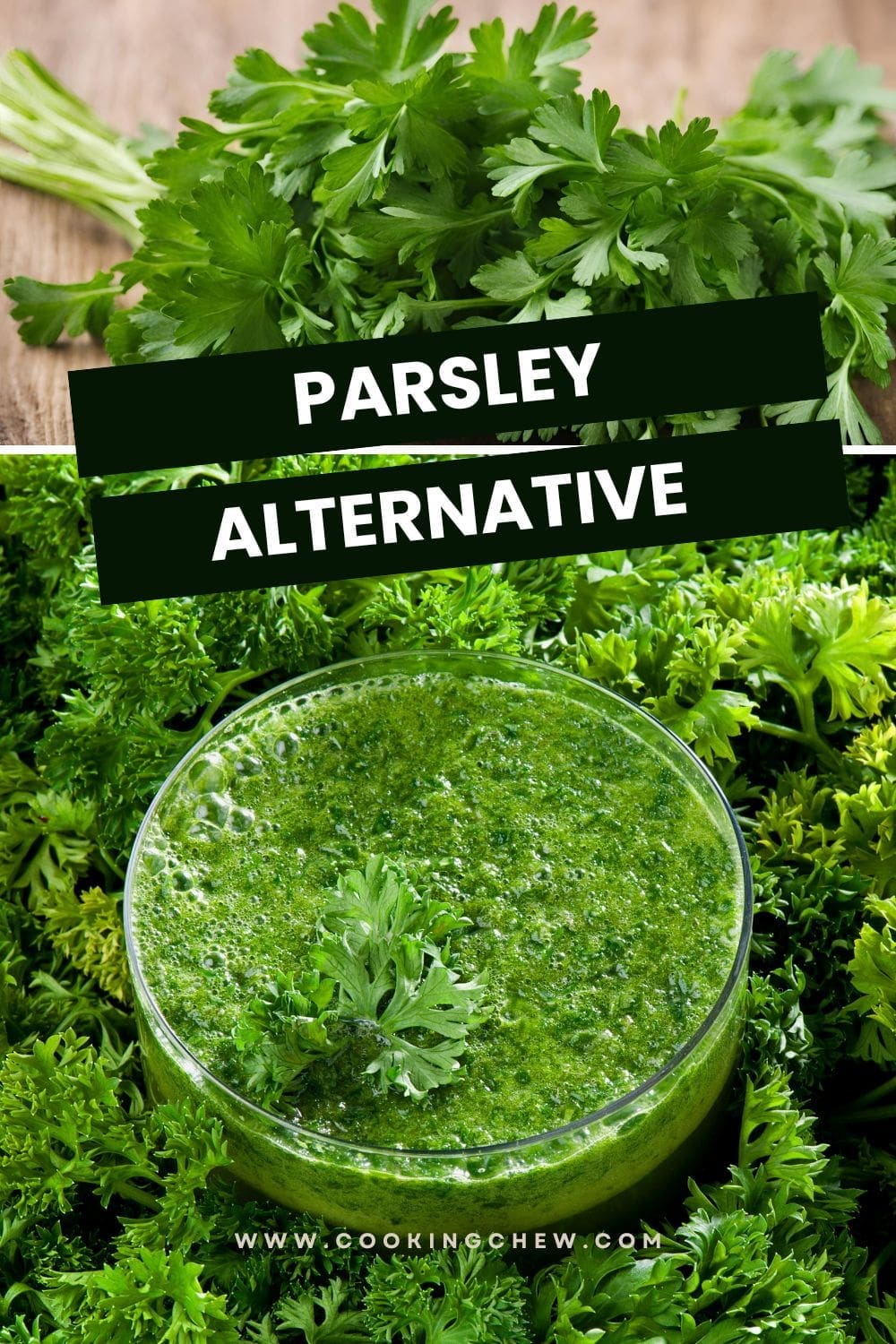 The best parsley substitute: All the best right at your fingertips!