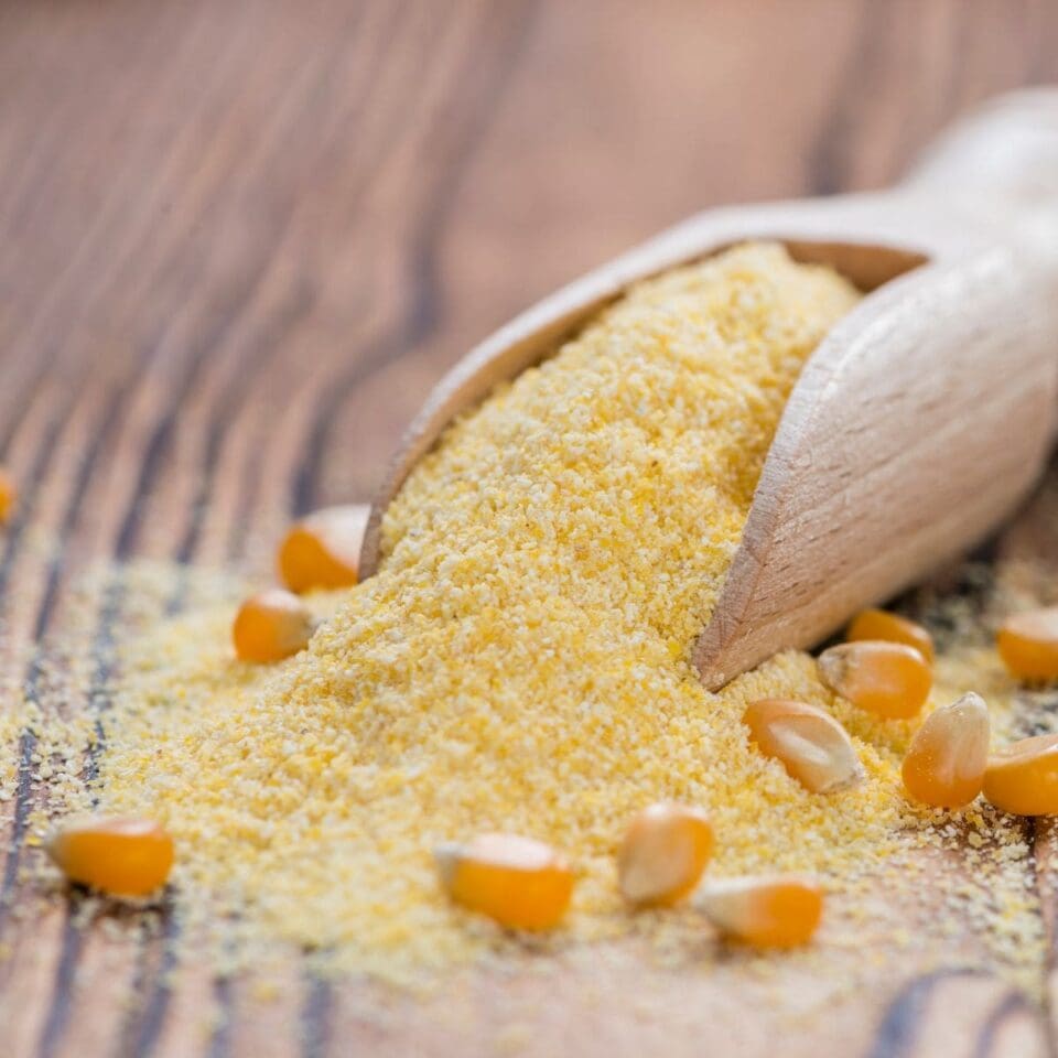 The best cornmeal substitute options