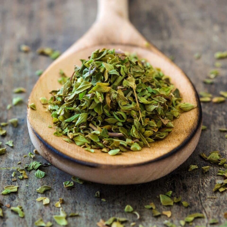 7 oregano substitutes to use in your recipes