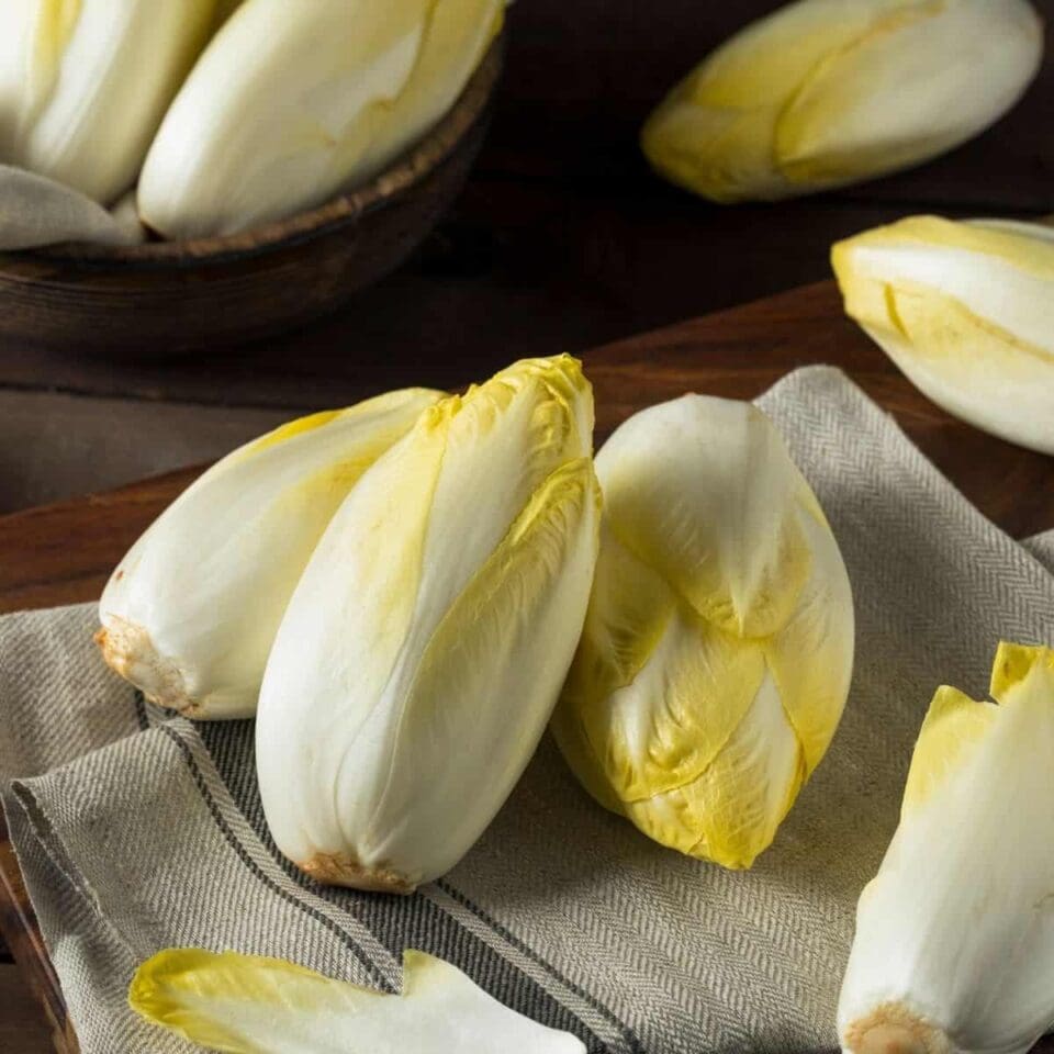 What is escarole and how to store one?