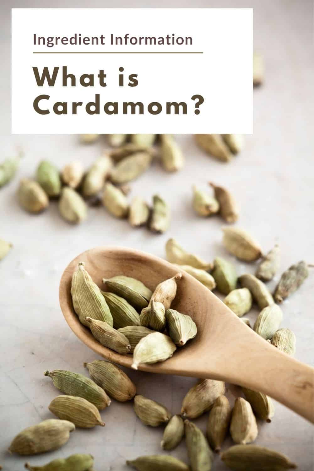 What Is Cardamom?