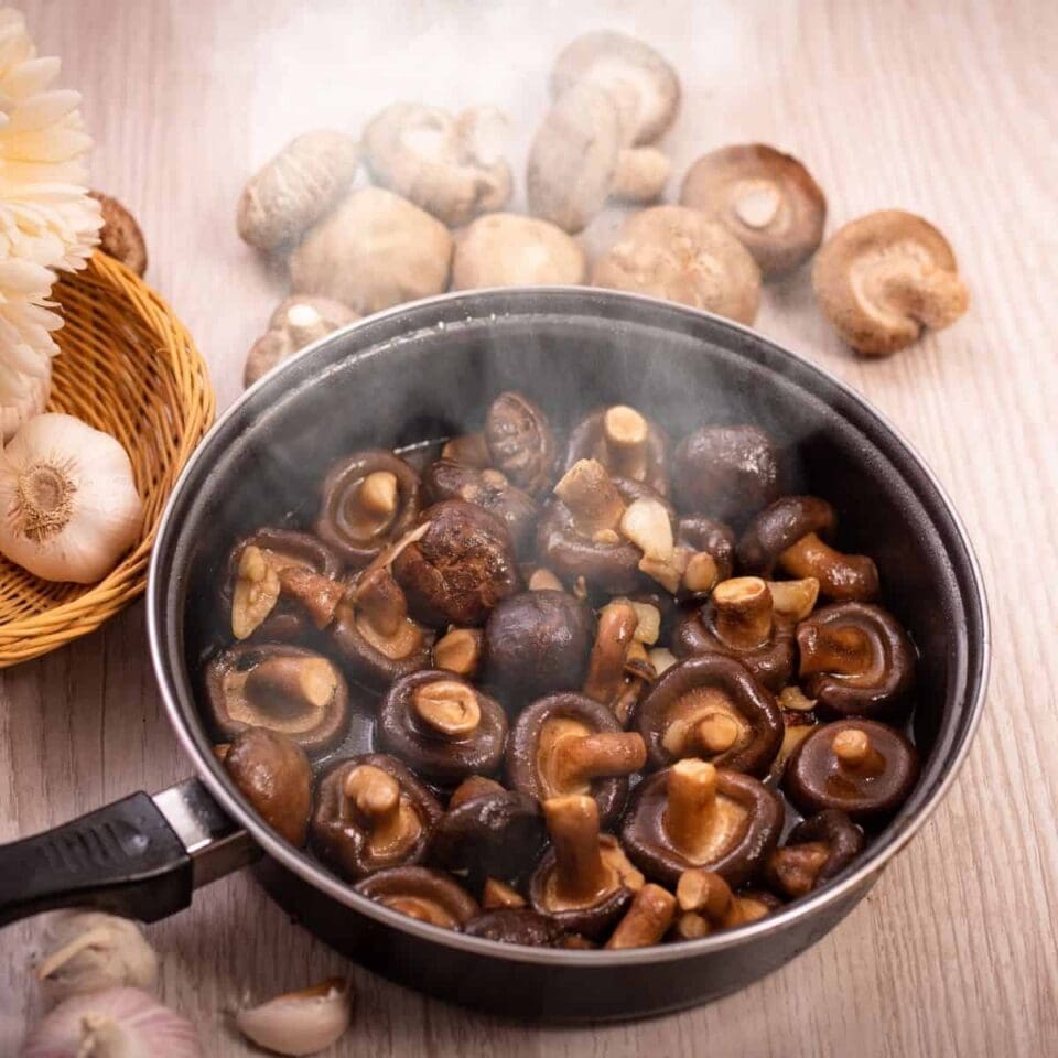 19 Insanely Good Shiitake Mushroom Recipes You Just Can't Live Without
