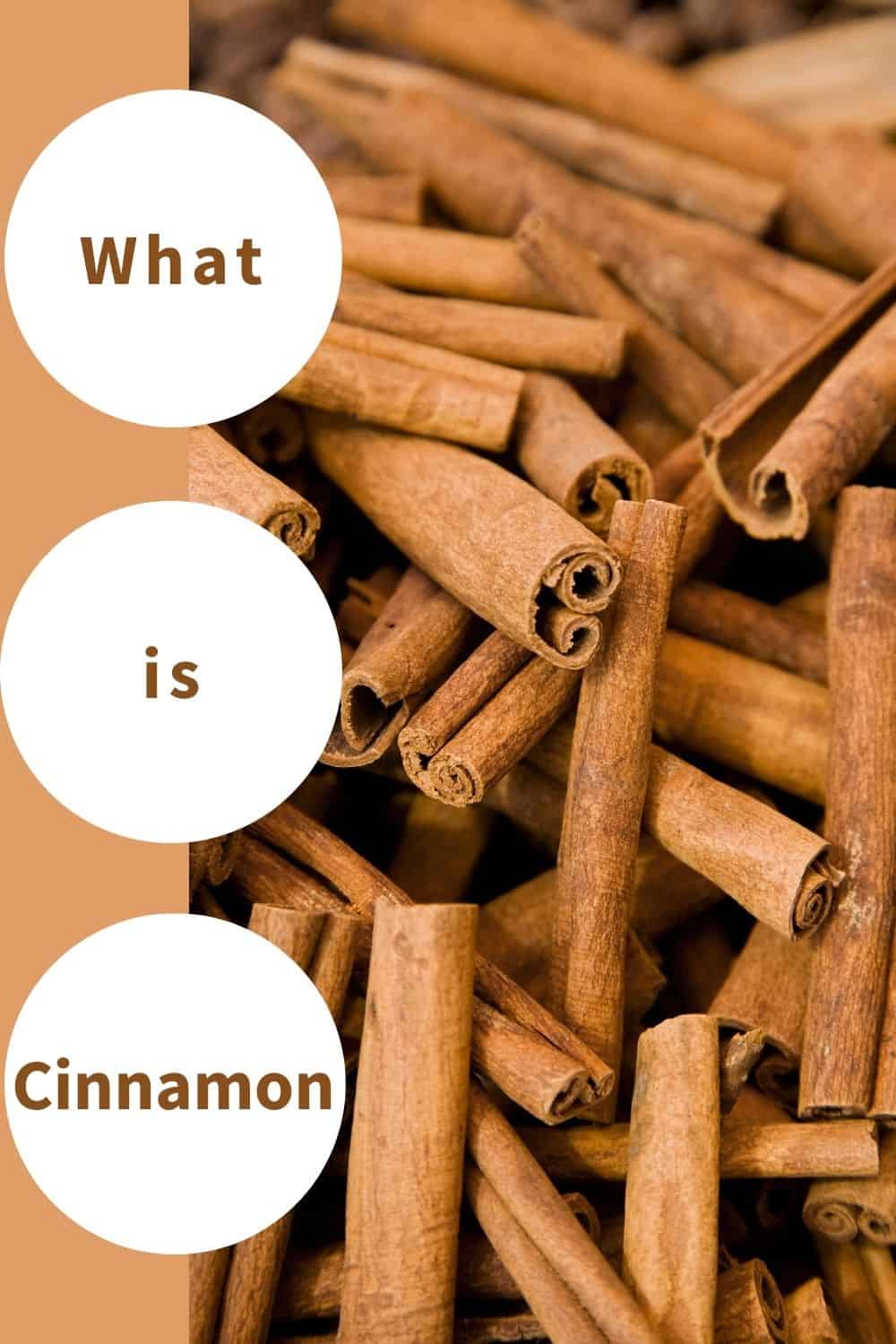 What Is Cinnamon? From Bark To Bake, Get To Know This Popular Spice