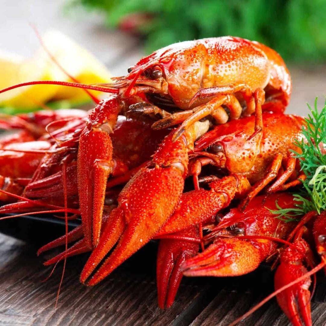 How To Tell If An Artichoke Is Bad