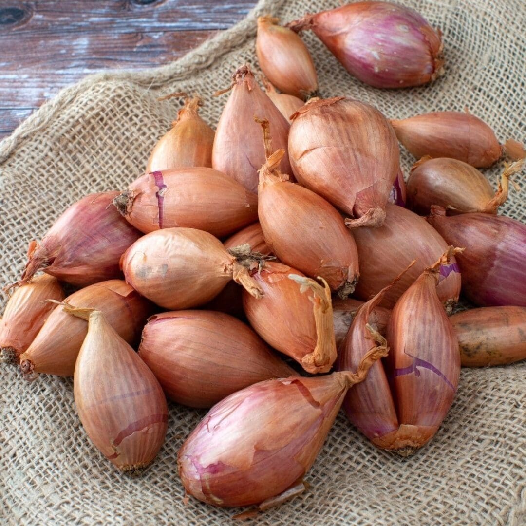 What Is A Chestnut? Is It Really A Nut? Find Out The Answers Here!
