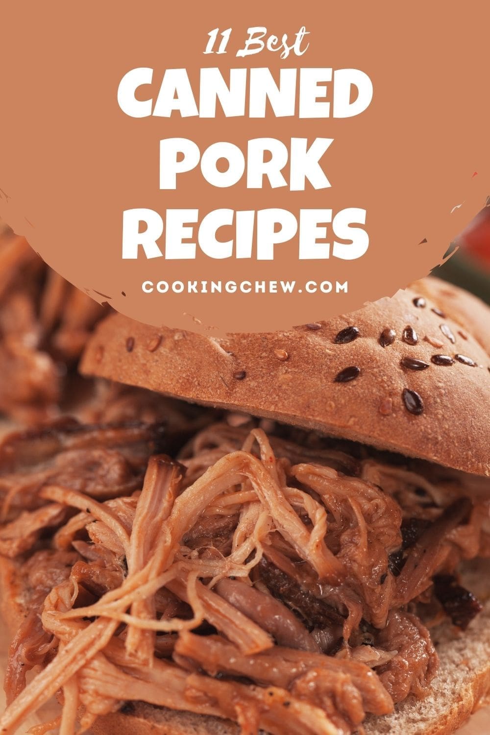 11 BEST Canned Pork Recipes To Satisfy Your Meaty Cravings!🍴