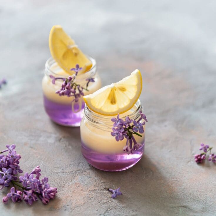 21 BEST Purple Cocktails: Elegant Beautifully Made Cocktails! 💜