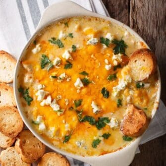 15 BEST Buffalo Chicken Appetizers