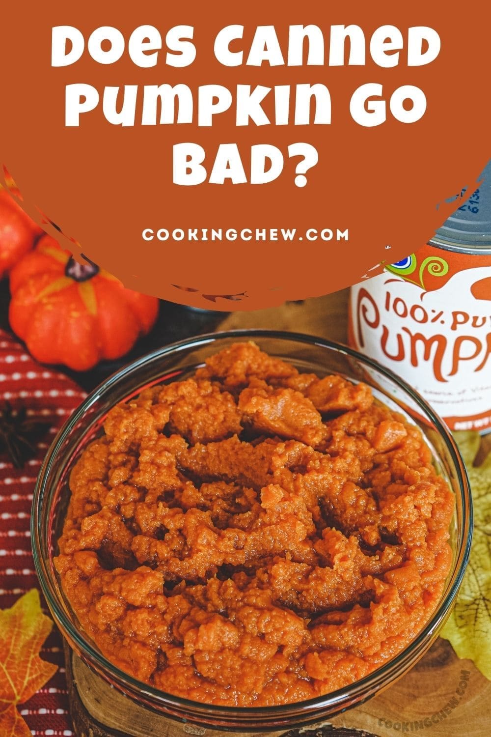 Does Canned Pumpkin Go Bad? FAQ + Tips
