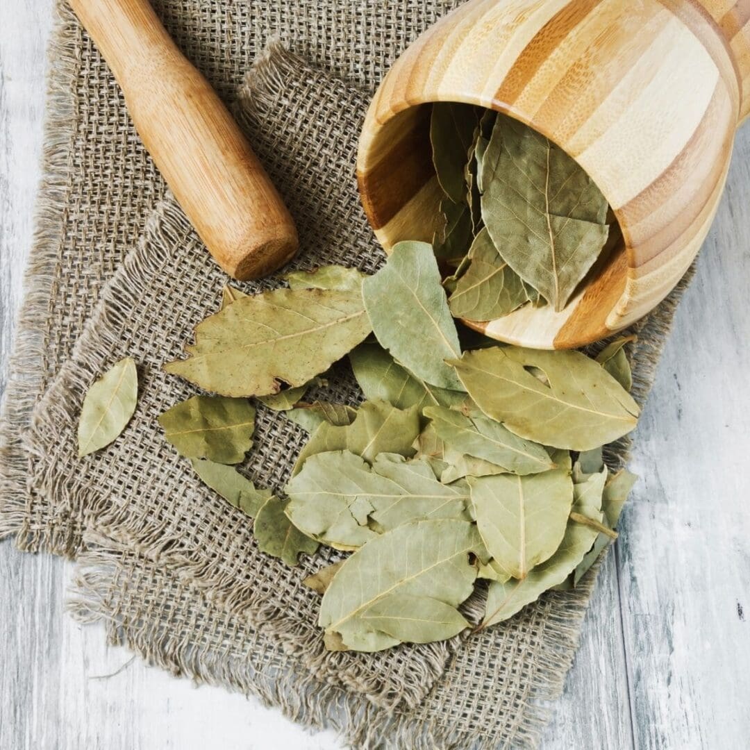 What Are Bay Leaves? Is Bay Leaf An Herb Or A Spice?