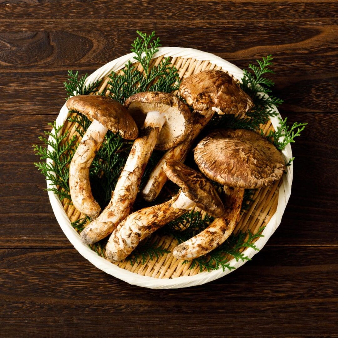 18 Different Types Of Edible Mushrooms And How To Use Them