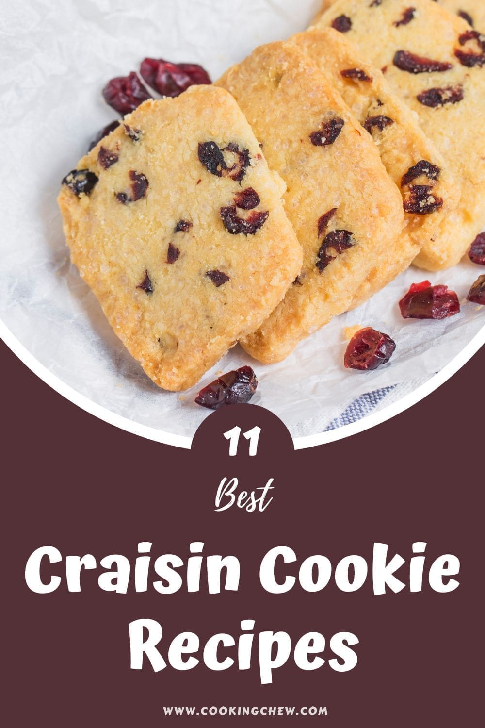 11 Best Craisin Cookie Recipes