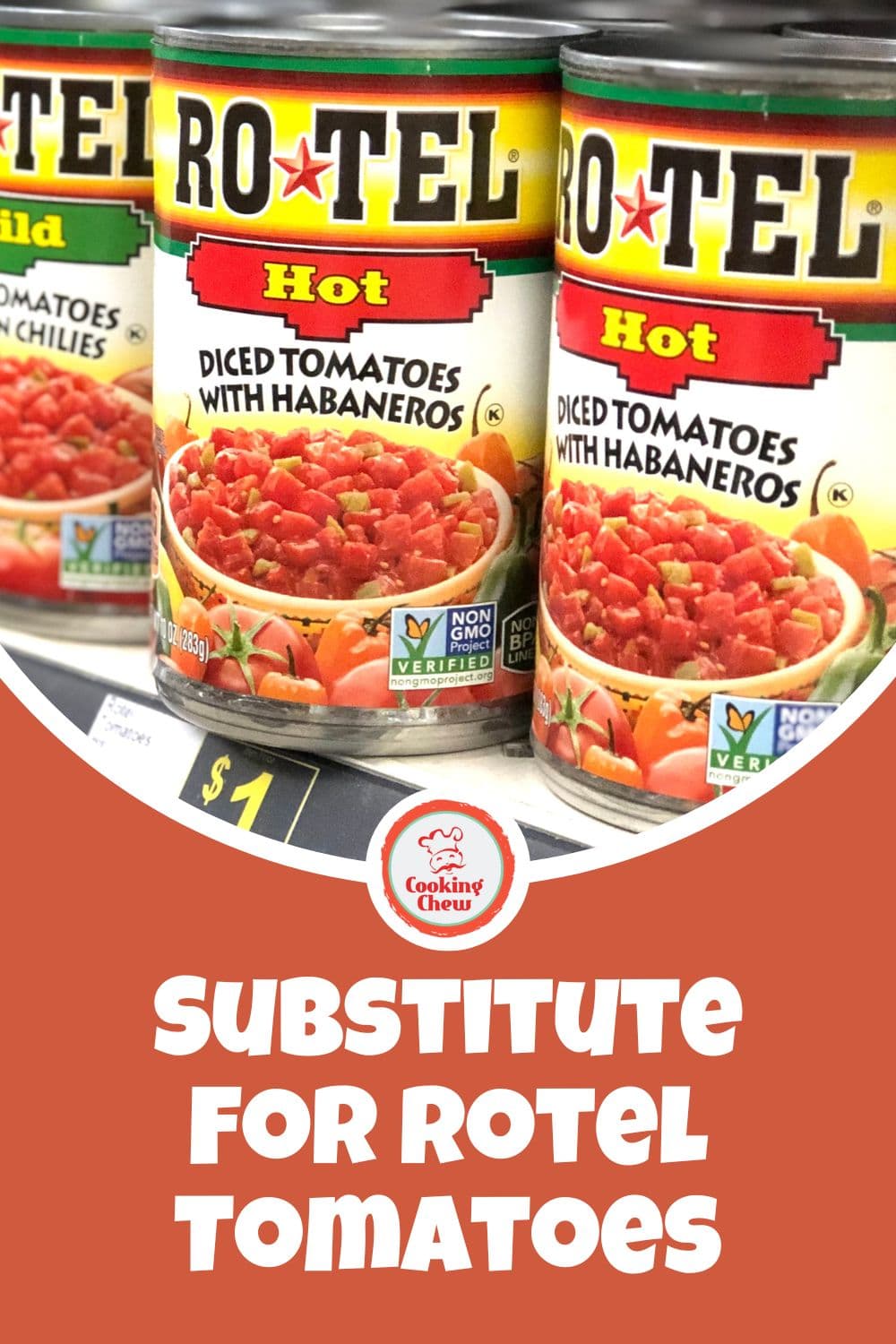 What Is A Good Substitute For Rotel Tomatoes?