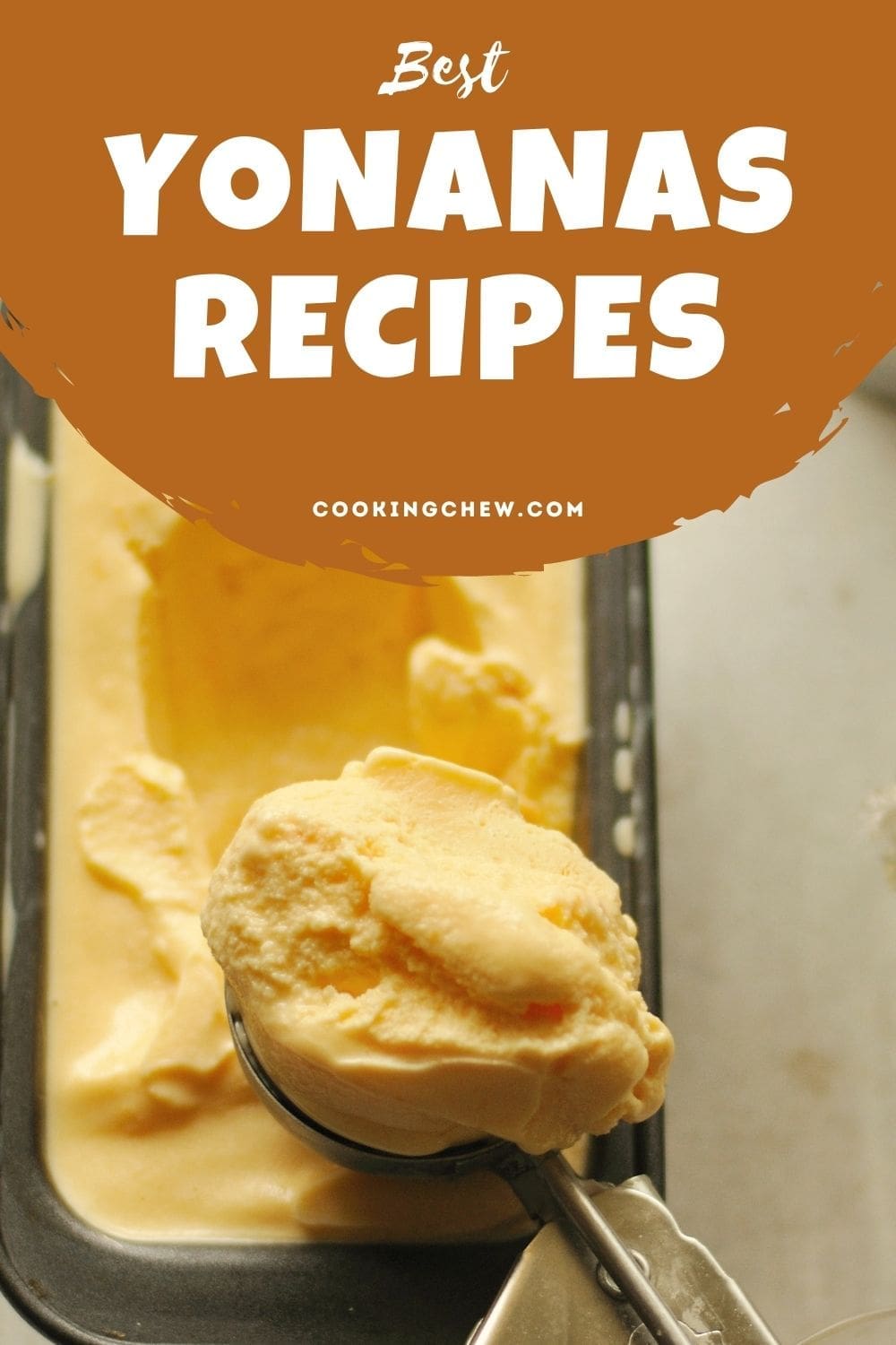 25 Best Yonanas Recipes (Sorbets, Ice Cream Pies & More!) 🍧