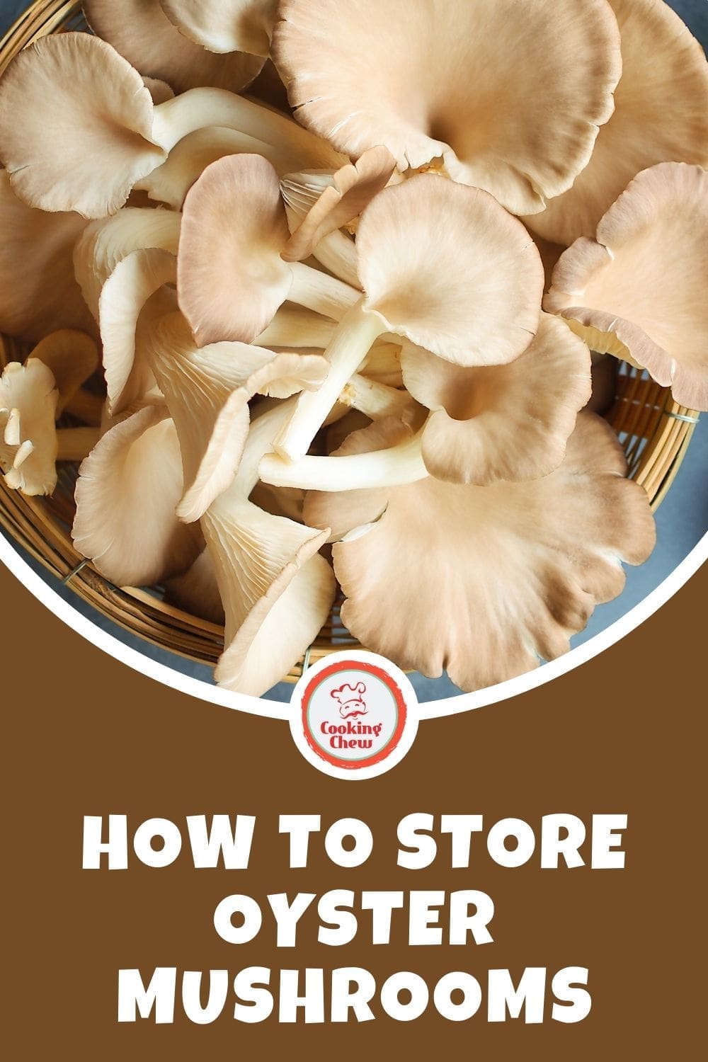 How To Store Oyster Mushrooms | Tips + FAQ