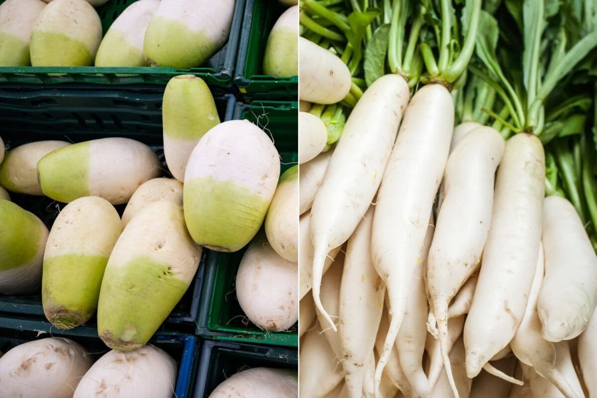 Korean Radish vs Daikon: What's The Difference?