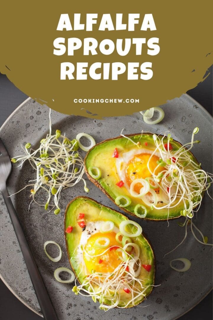 25 Best Recipes With Alfalfa Sprouts