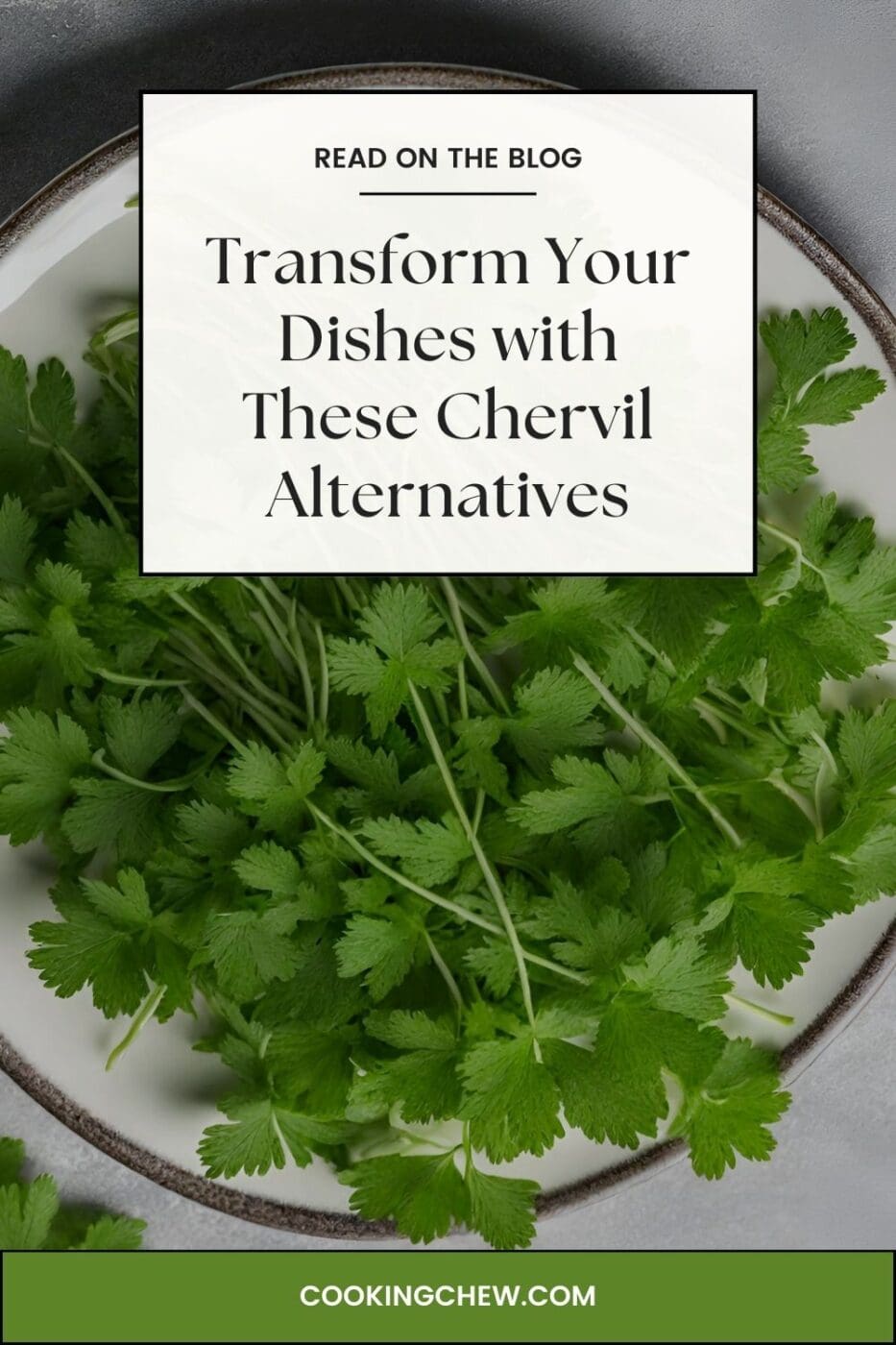 5 Chervil Substitutes + Helpful Ratios