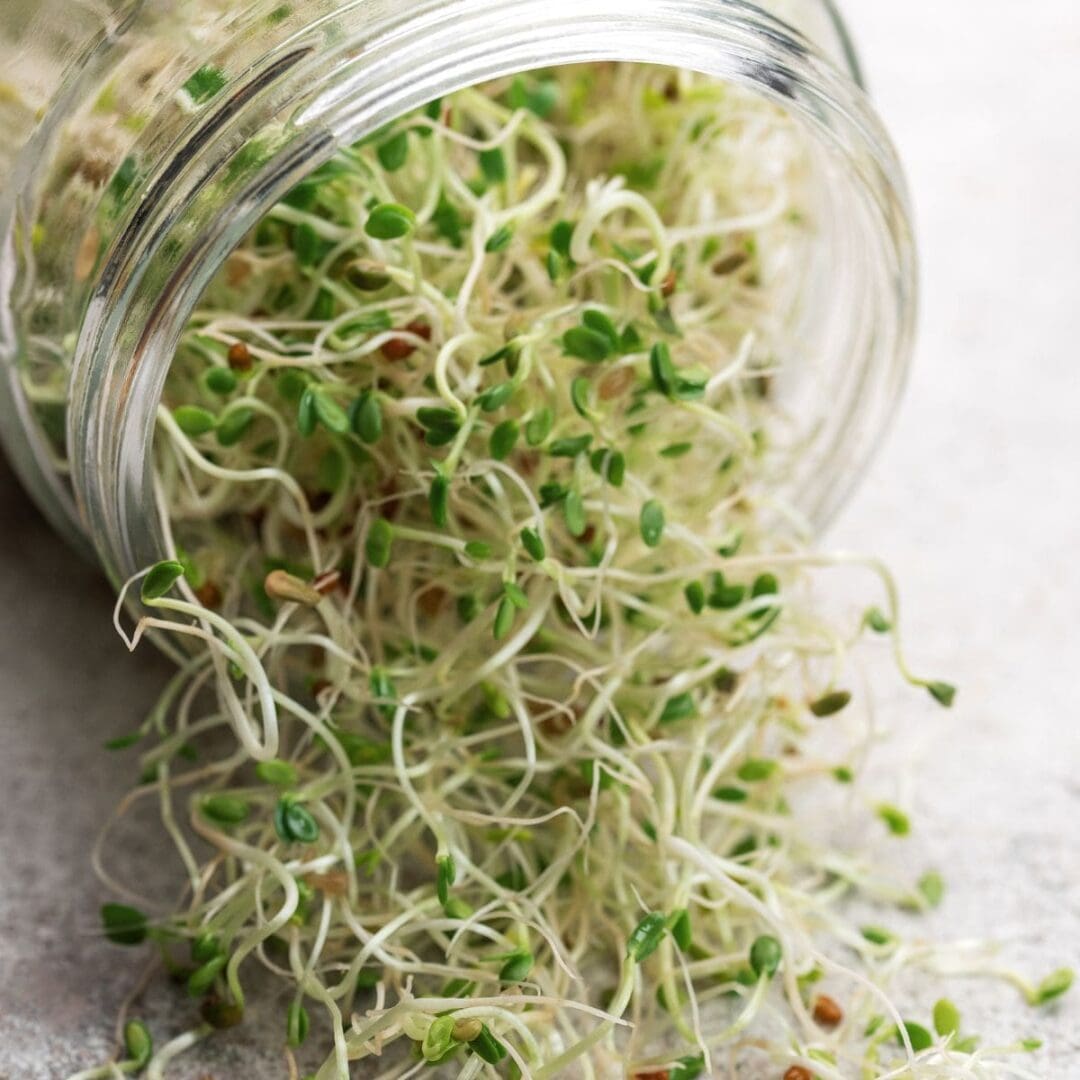 20 Best Types Of Sprouts (And How to Use Them!)