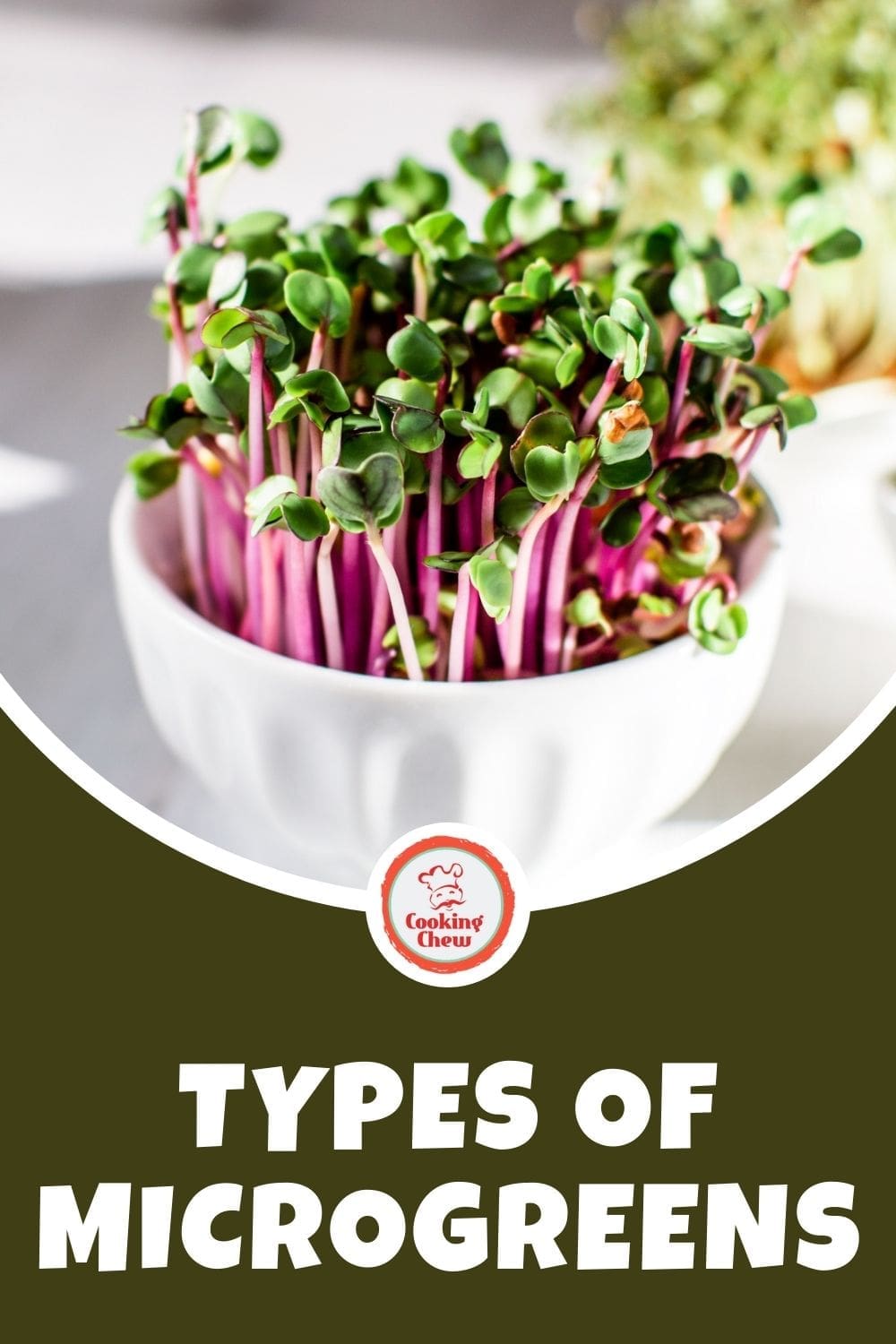 19 Popular Types Of Microgreens (From Arugula To Mizuna!)