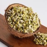 20 Best Types Of Sprouts (And How to Use Them!)