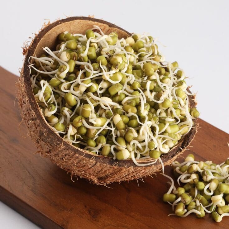 20 Best Types Of Sprouts (And How to Use Them!)