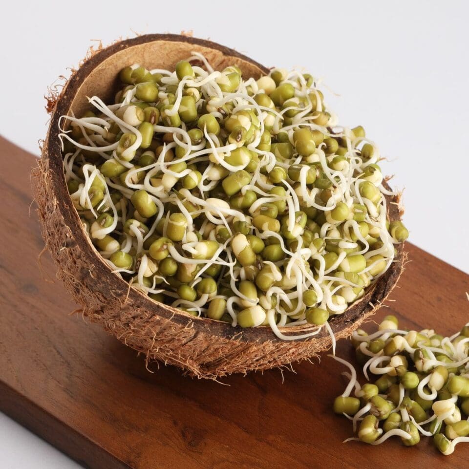 20 Best Types Of Sprouts (And How to Use Them!)
