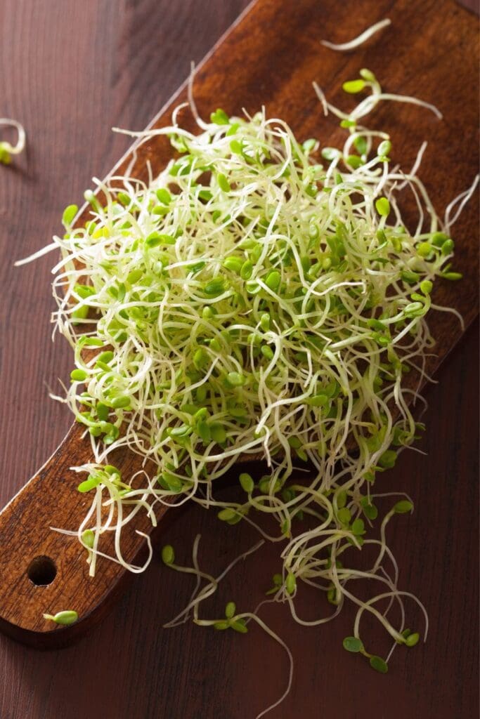 20 Best Types Of Sprouts (And How to Use Them!)