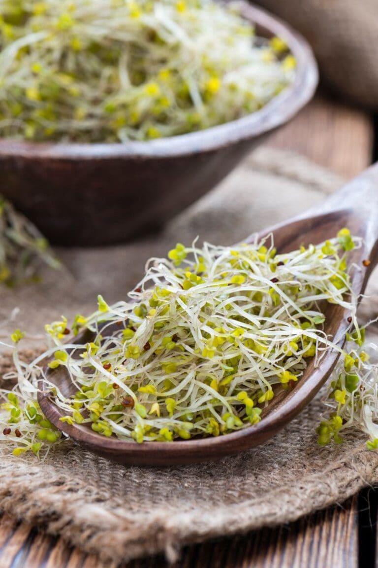 20 Best Types Of Sprouts (And How to Use Them!)