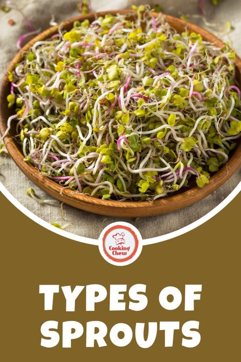 20 Best Types Of Sprouts (And How to Use Them!)