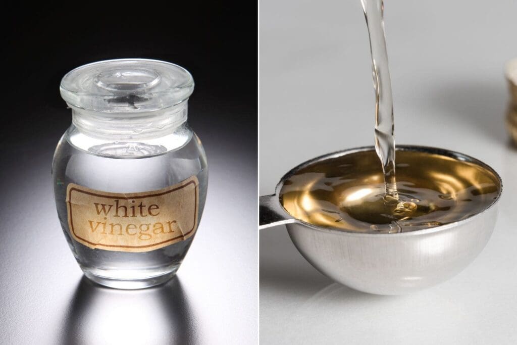White Vinegar vs White Wine Vinegar: From Flavors To Uses
