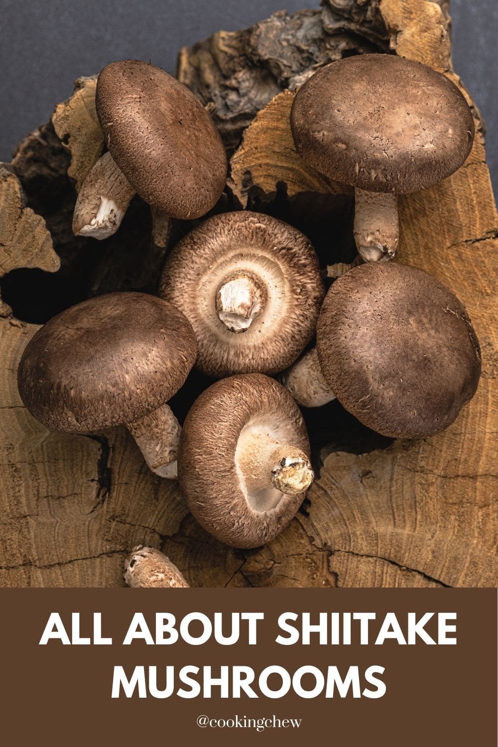 Exploring the Unique Flavor Profile of Shiitake Mushrooms