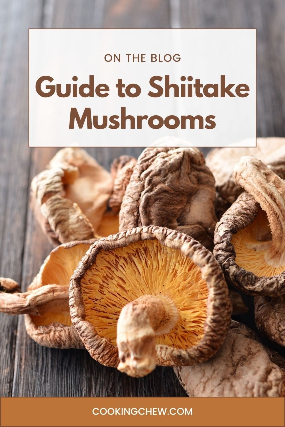 Exploring the Unique Flavor Profile of Shiitake Mushrooms